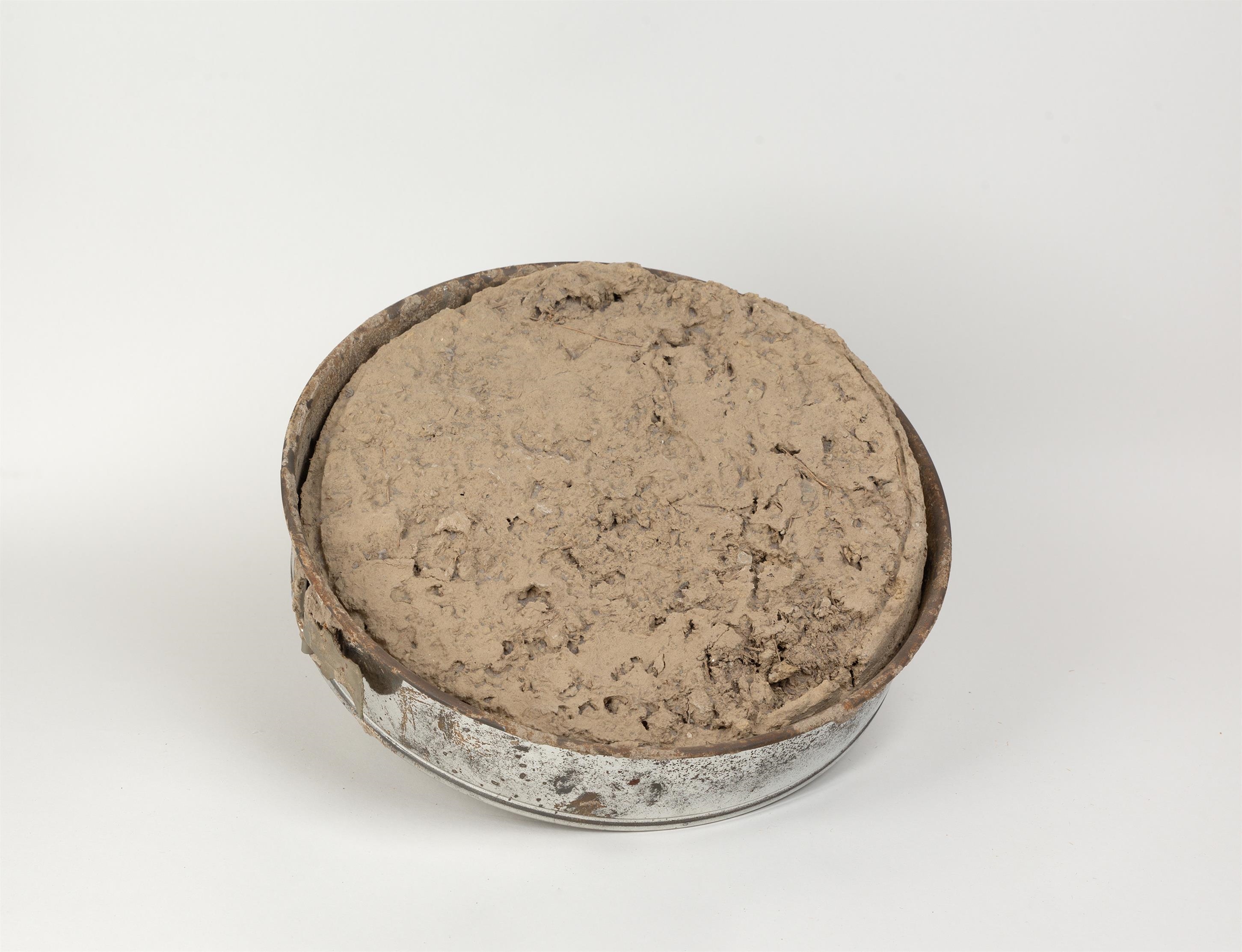 Felix Droese | Altersspuren (1994) | MutualArt