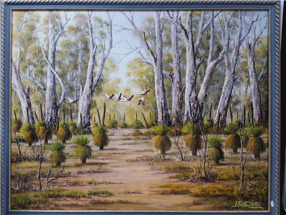 John Fabris | Australian Landscape with Galahs | MutualArt