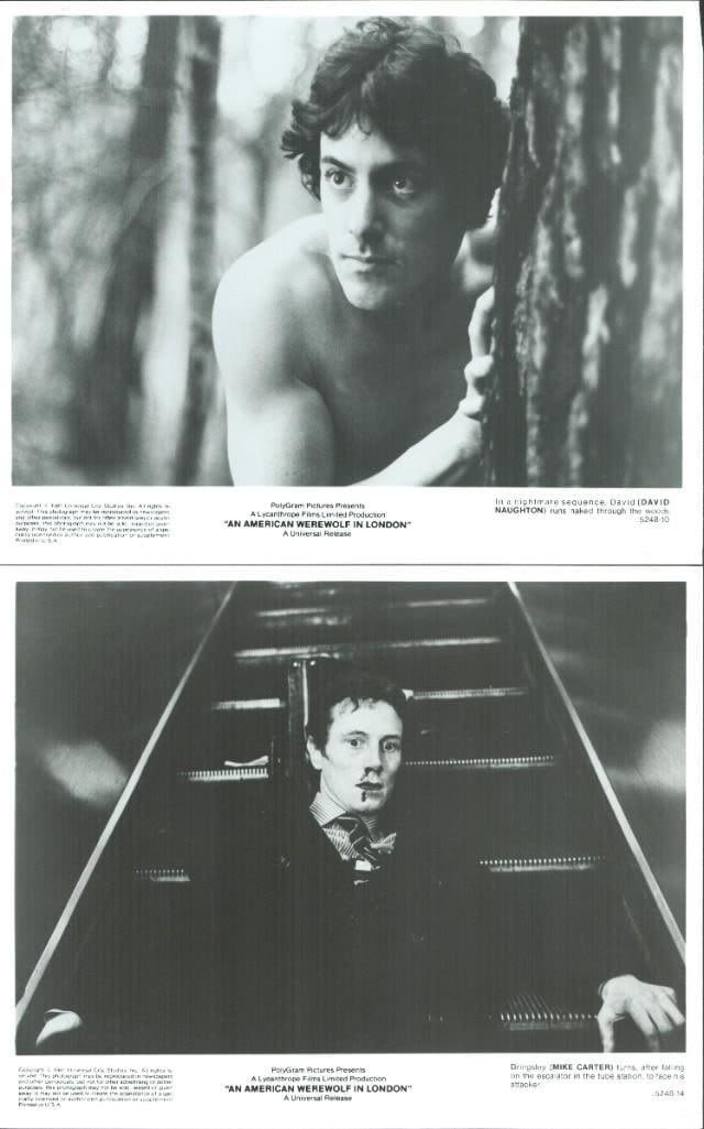 Jenny Agutter | Jenny Agutter - An American Werewolf In London ...