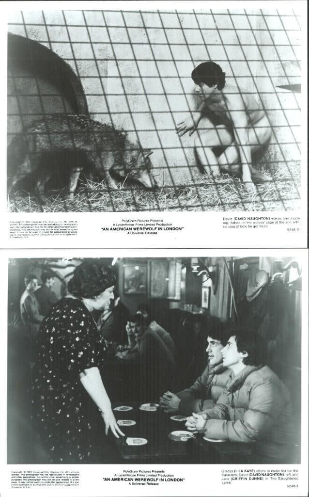 Jenny Agutter | Jenny Agutter - An American Werewolf In London ...