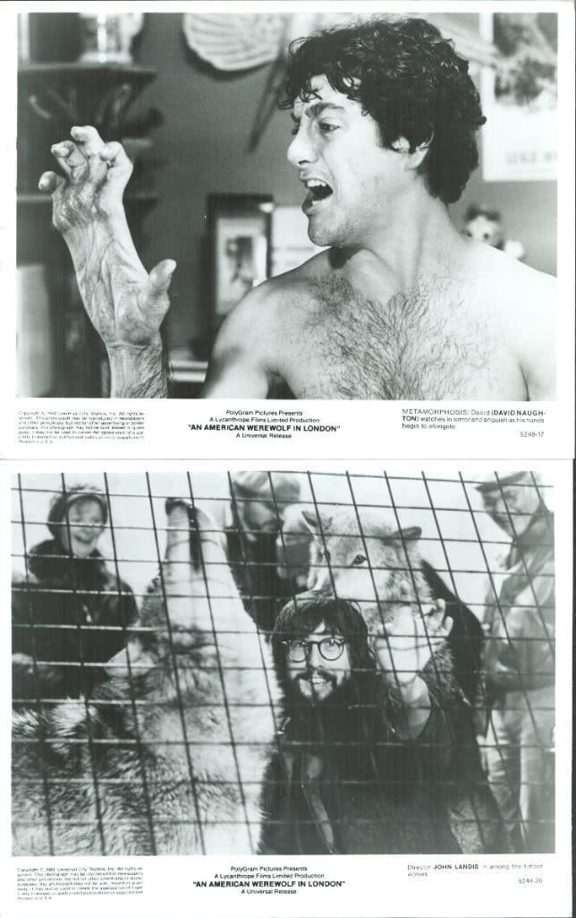 Jenny Agutter | Jenny Agutter - An American Werewolf In London ...