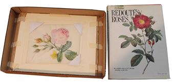 Pierre-Joseph Redoute | 1,616 Artworks at Auction | MutualArt