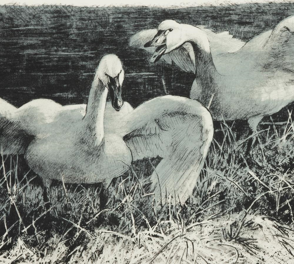 Robert McLellan Bateman | Tundra Swans (1999) | MutualArt