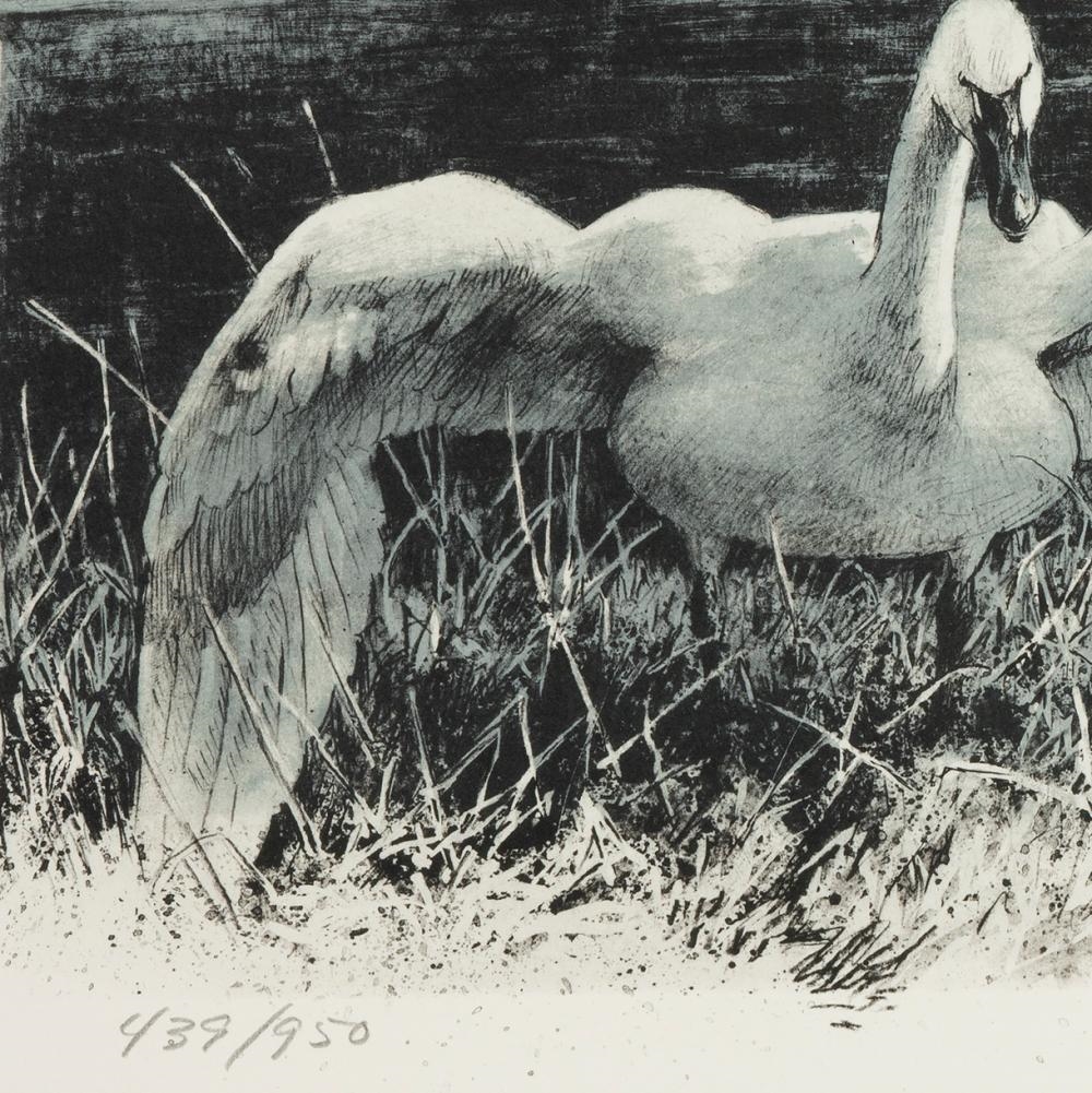 Robert McLellan Bateman | Tundra Swans (1999) | MutualArt