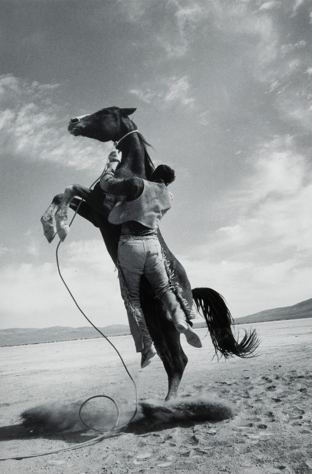 Ernst Haas | Albert Einstein at home in his garden, Princeton | MutualArt
