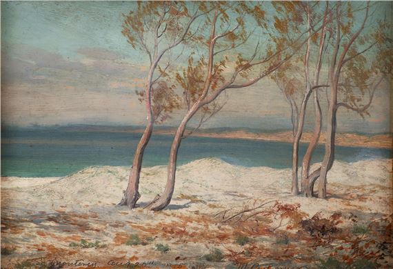 Martin Leisser | Trees and Beach (20) | MutualArt