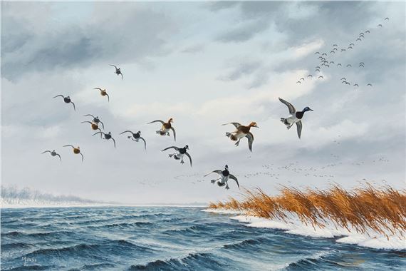 David Maass | David Maass Winter Winds - Bluebills Painting | MutualArt