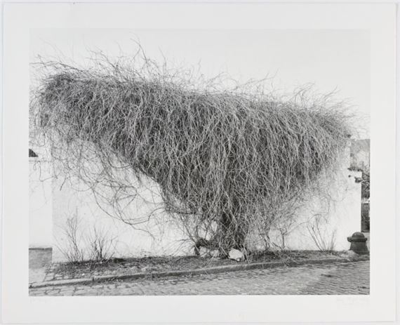 Hans Meyer-veden | 2 Artworks at Auction | MutualArt