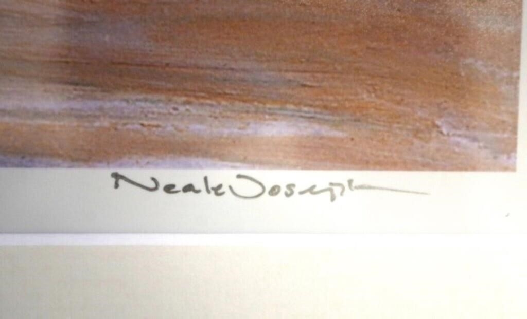 Neale Joseph | Soft Light | MutualArt