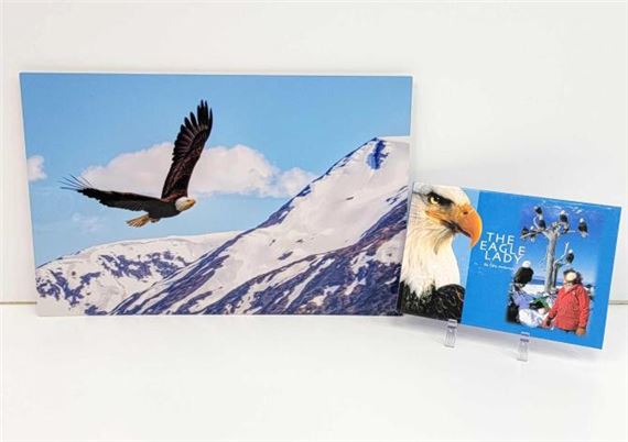 Cary Anderson | 1 Artworks | MutualArt