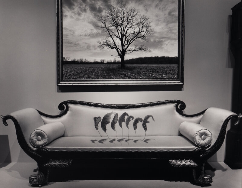 Jerry Uelsmann | Philistine's Eye (1961) | MutualArt