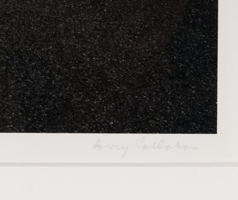 Harry Callahan | Chicago (1949) | MutualArt