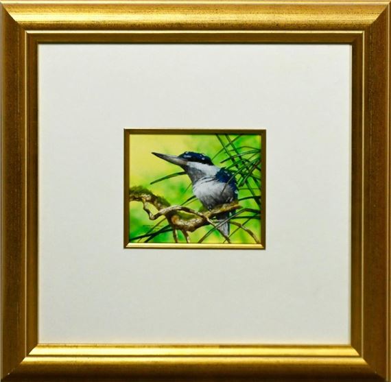 Paul Margocsy | PAUL MARGOCSY, AUSTRALIAN FOREST KINGFISHER, | MutualArt