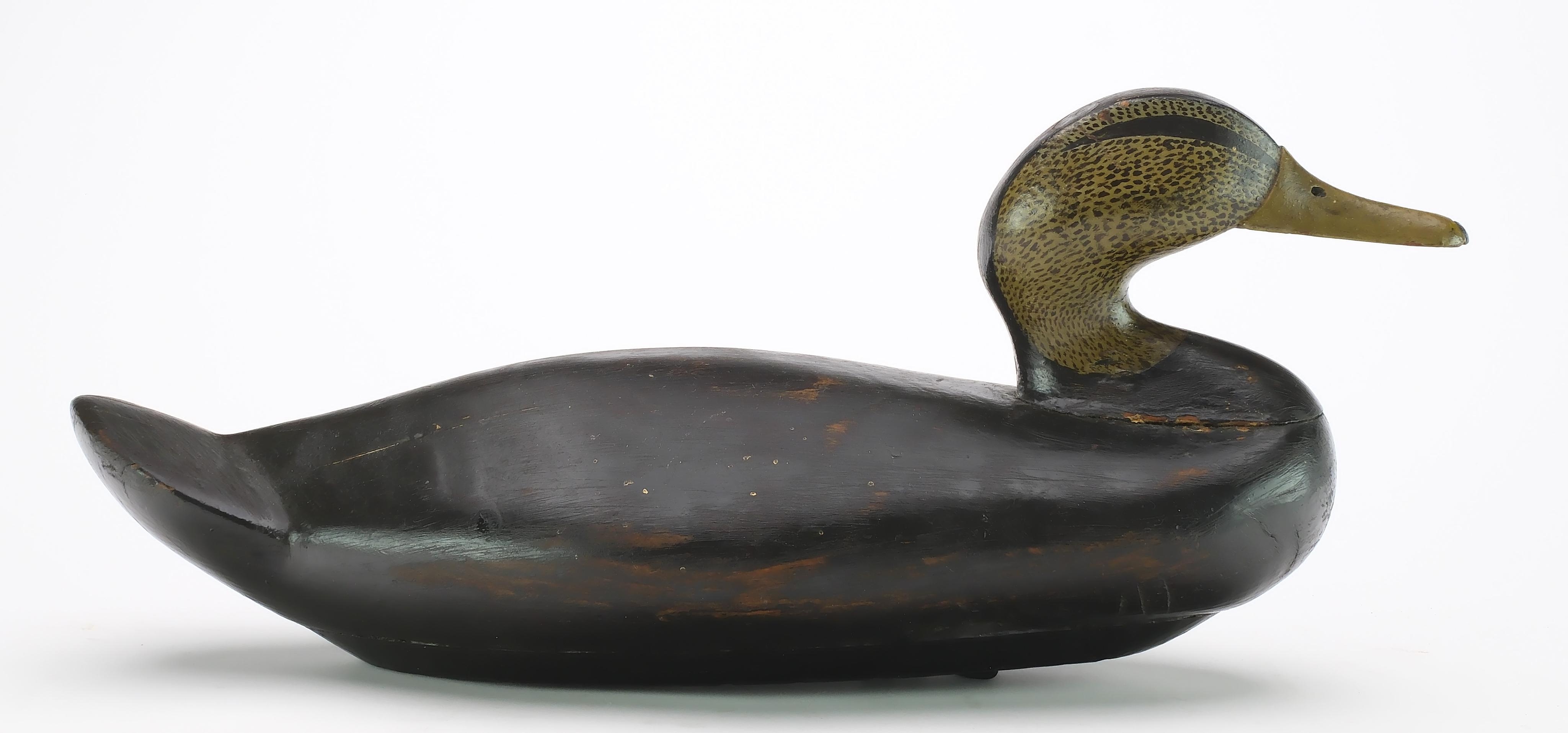 Frank Selig | Black duck | MutualArt