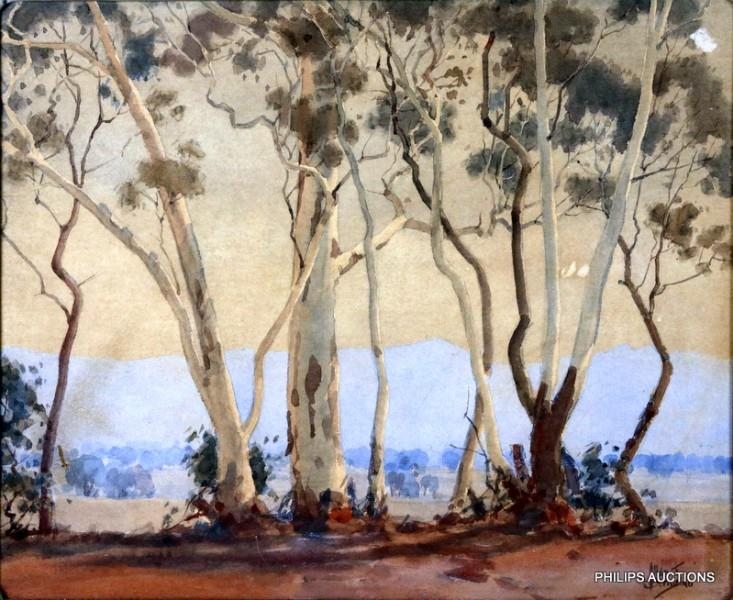 Allan Thomas Bernaldo | Gum Trees | MutualArt