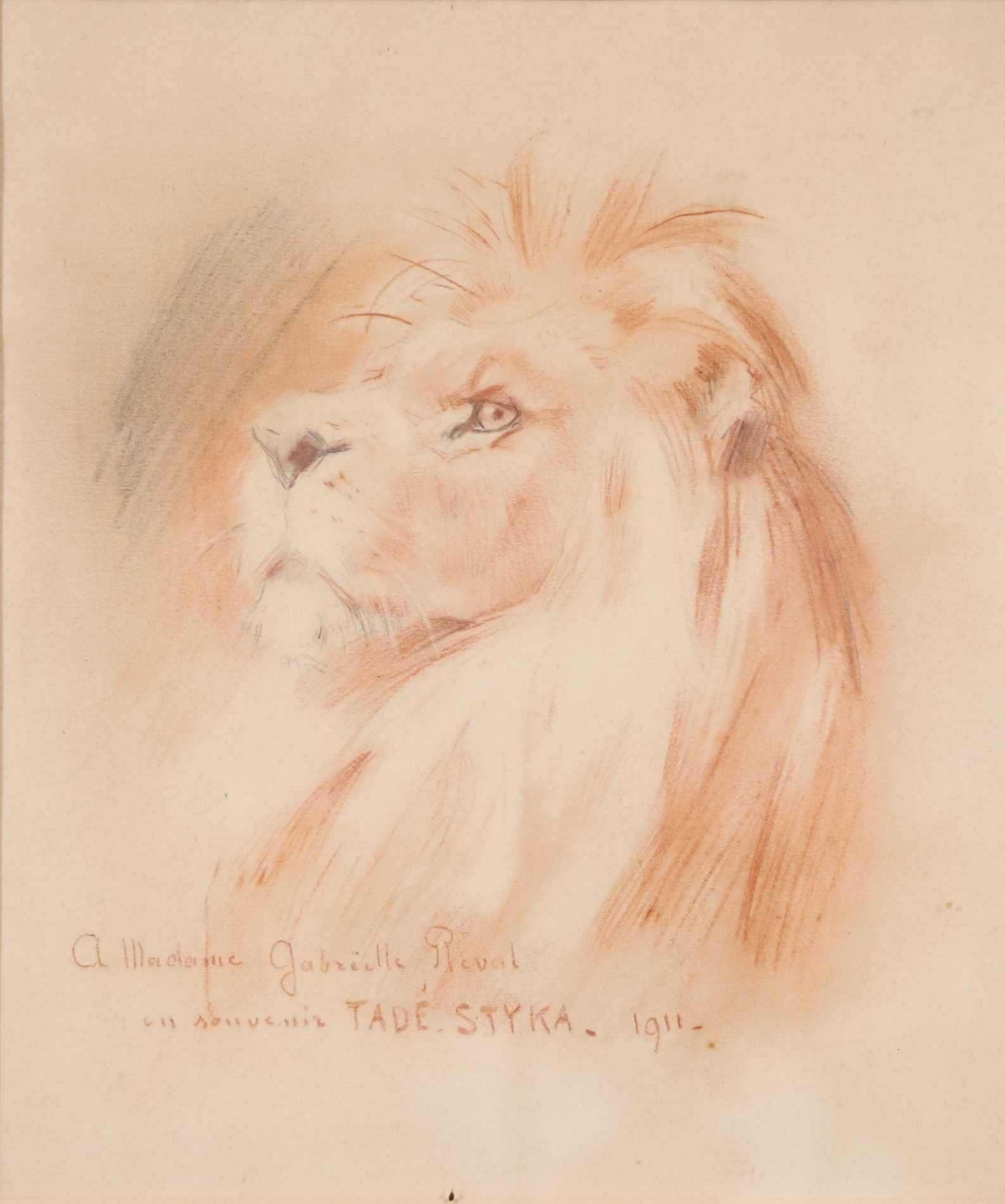 Tadé Styka | Tête de lion dessin en sanguine (1911) | MutualArt