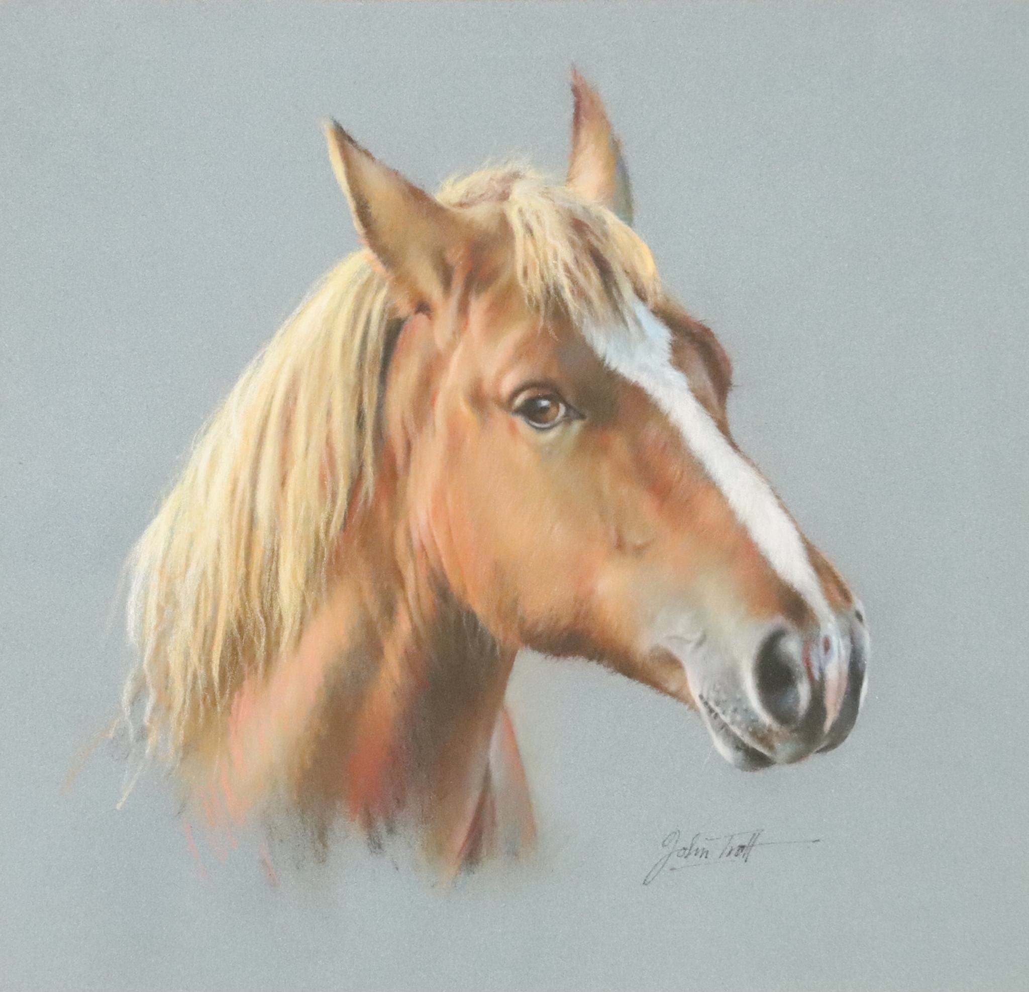 John Trott | Cheval pastel | MutualArt