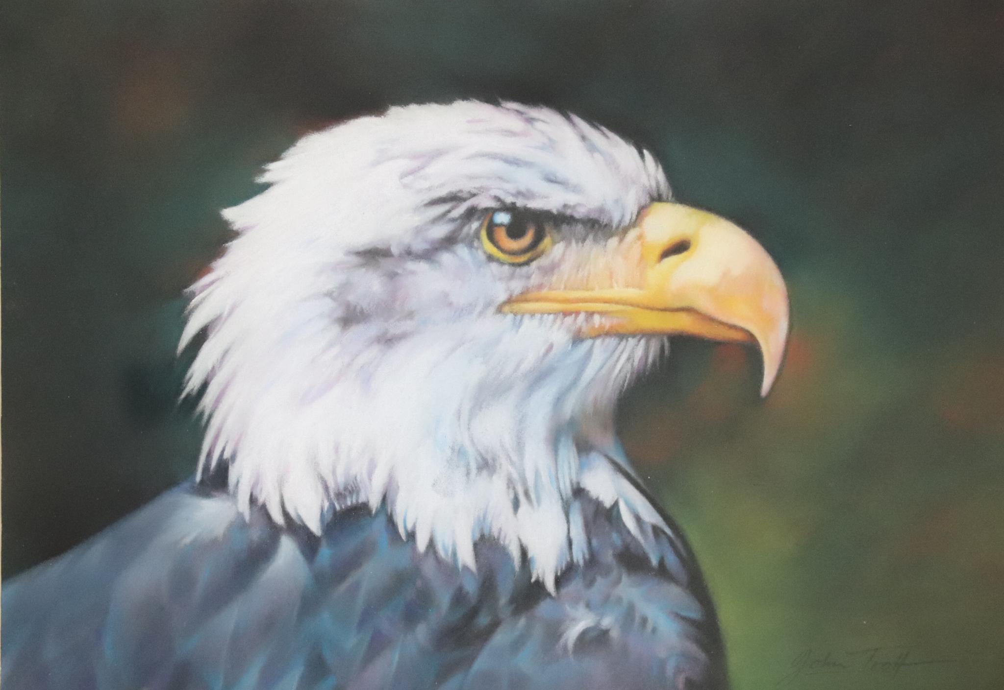 John Trott | Aigle pêcheur Américain pastel | MutualArt