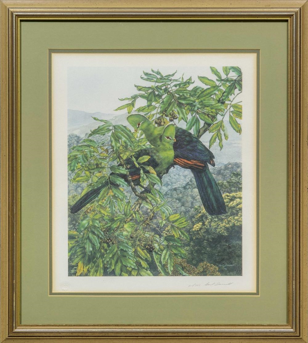 Gail Darroll | Gail Darroll (SA | MutualArt