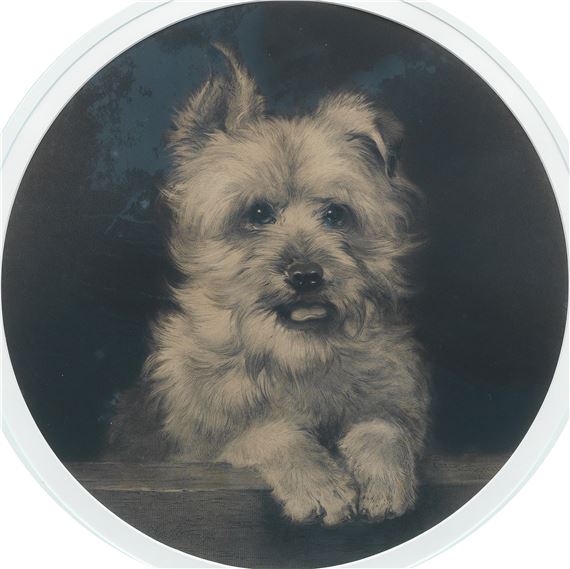 George Patterson | Portrait of a Terrier | MutualArt