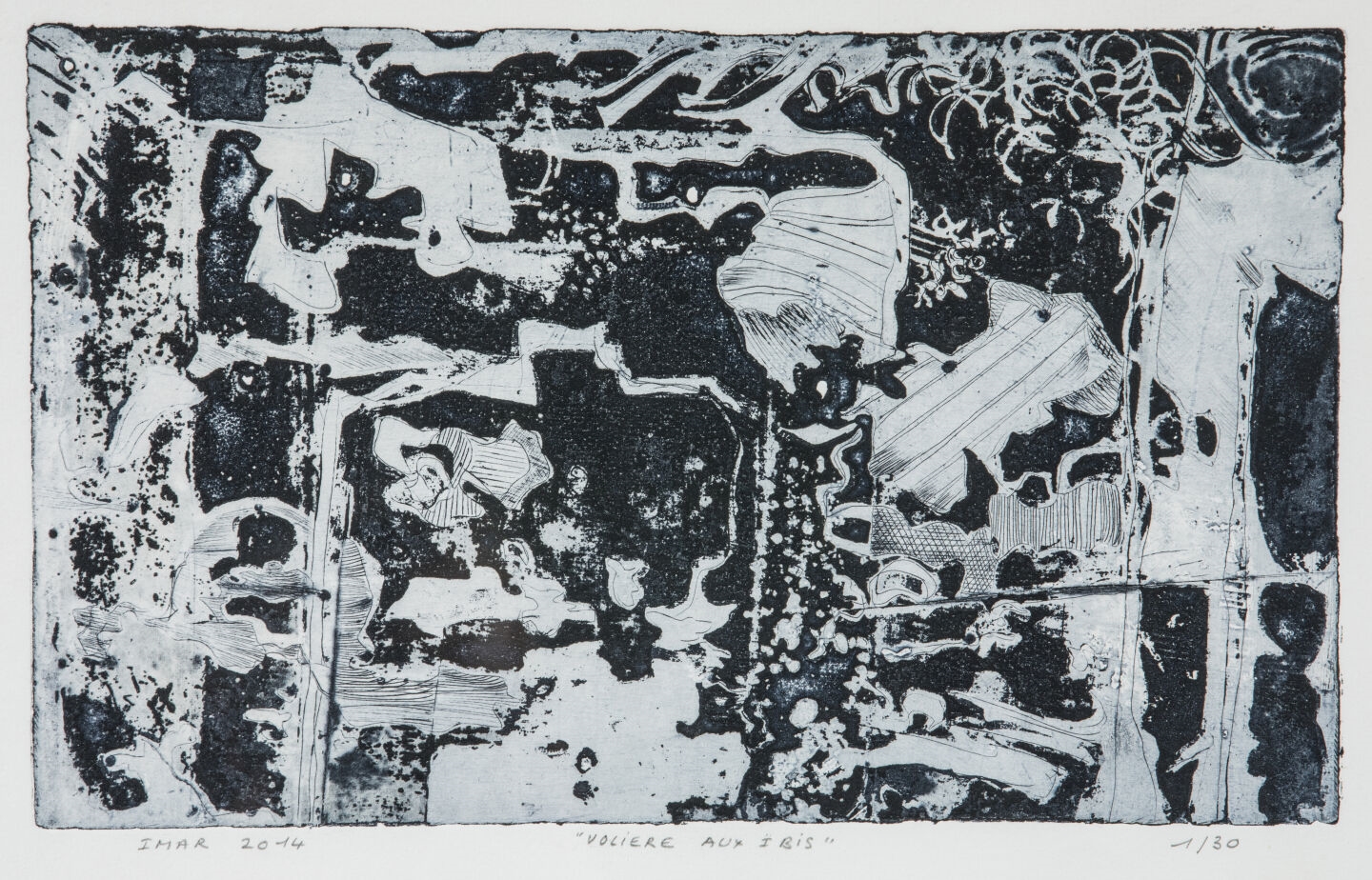 Jean-Noël Imar | Jean-Noël IMAR (1943-2023). Volière aux ibis, 2014 ...