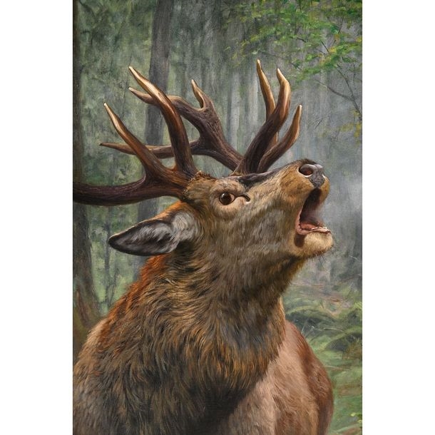 Carl Zimmermann | The stag bellowing | MutualArt