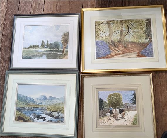 Douglas Bower | 2 Artworks at Auction | MutualArt