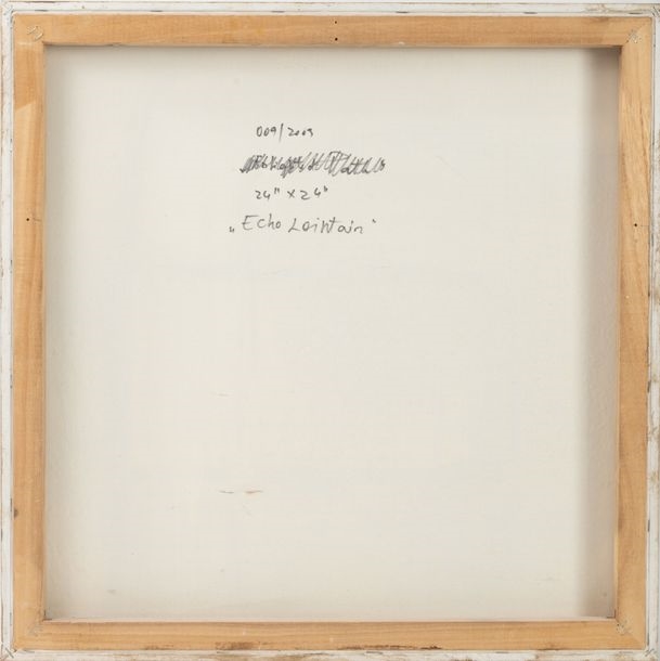 Petru Lucaci | Distant Echo (2009) | MutualArt