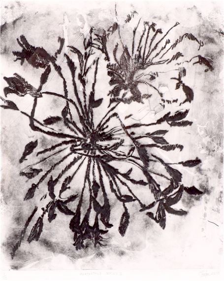 Sue Fox | AGAPANTHUS SERIES II (2010) | MutualArt