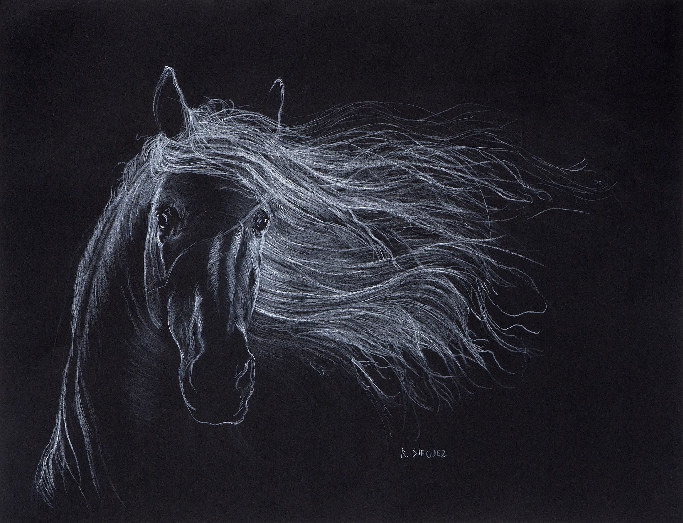 Rafael Dieguez | DIBUJO DE CABEZA DE CABALLO CON CRINES AL VIENTO, 2023 ...