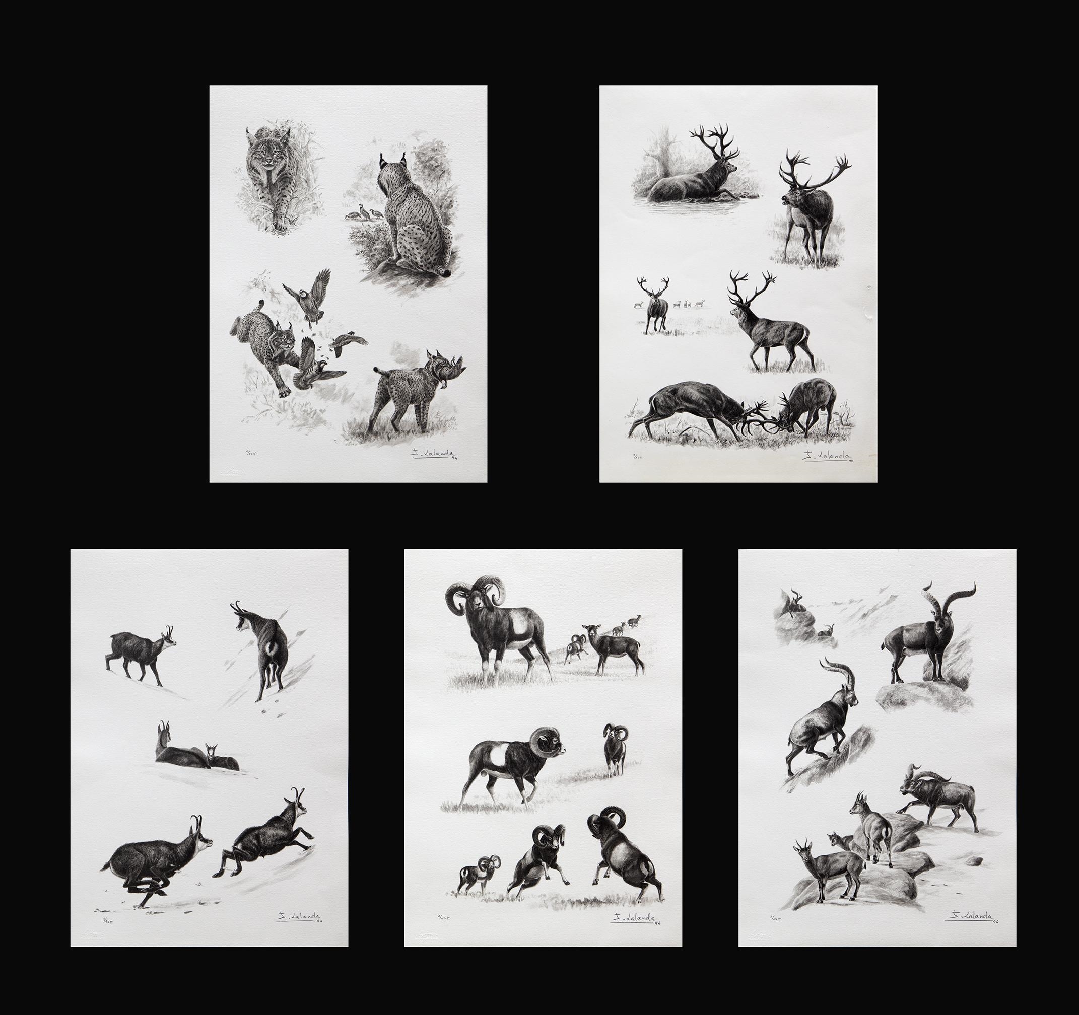 Josechu Lalanda | OBRA GRÁFICA CAZA MAYOR 2, 1994 (1939) | MutualArt
