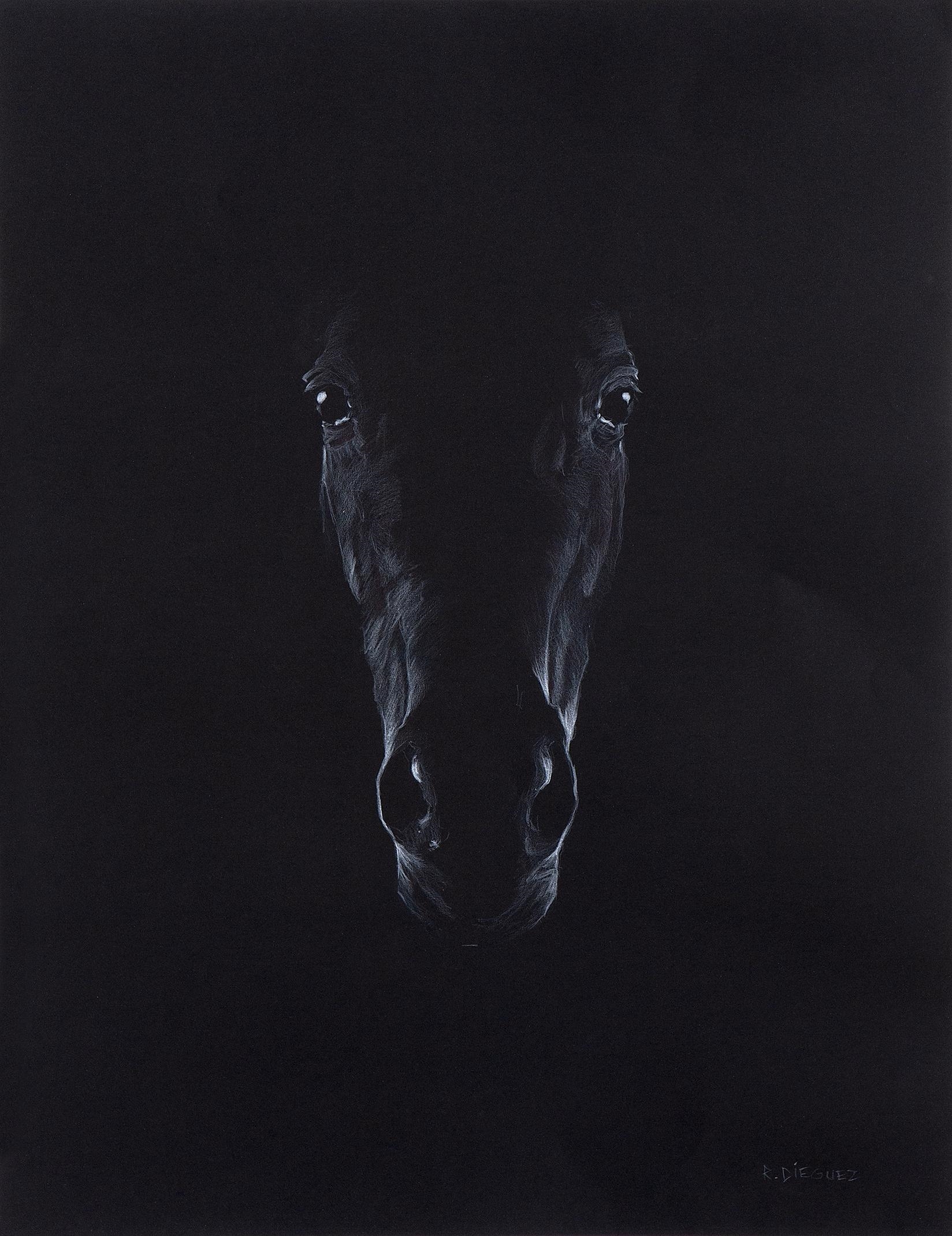 Rafael Dieguez | DIBUJO DE CABEZA DE CABALLO DE FRENTE, 2023 | MutualArt