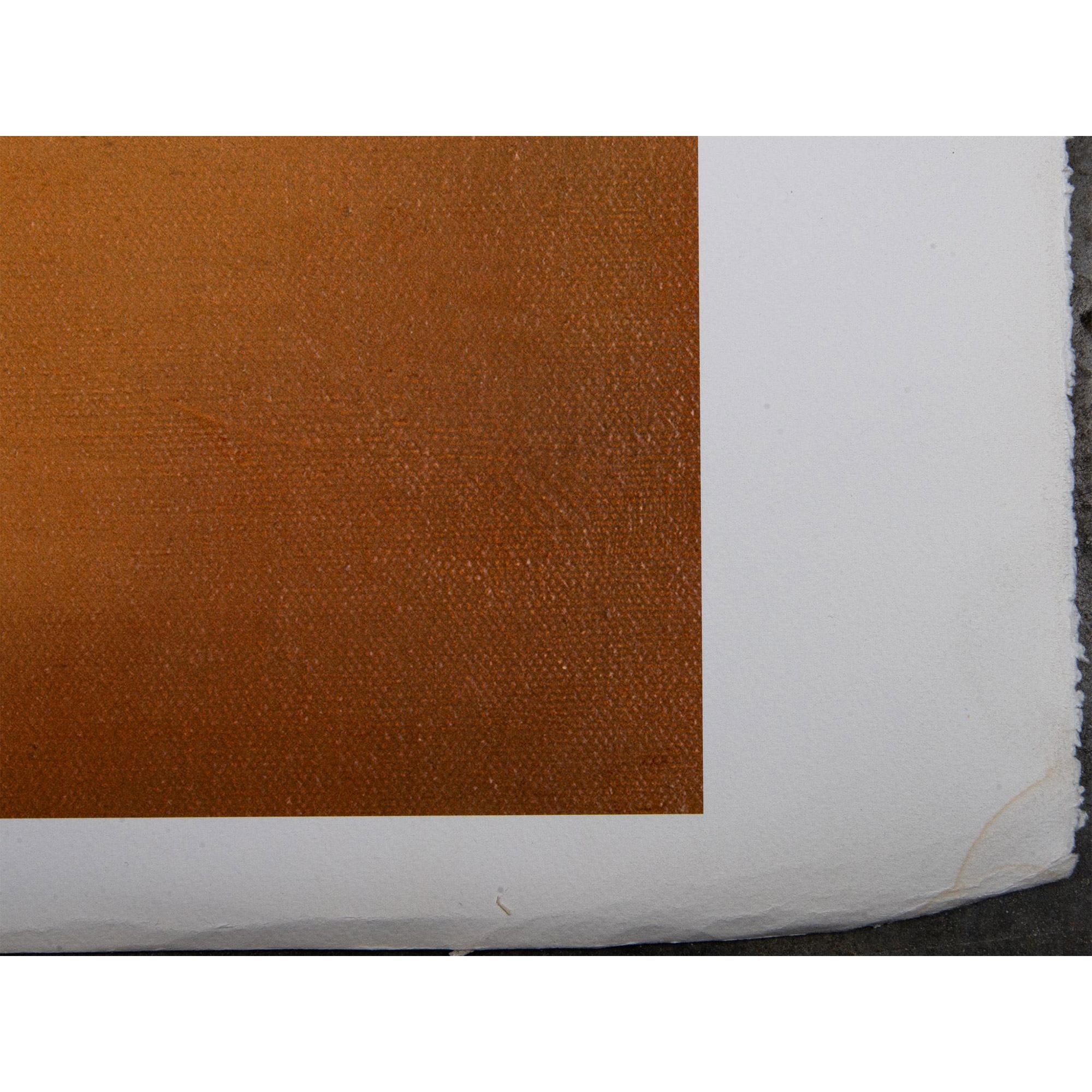 Caroline Ashton | A large landscape setting featuring tall trees in a ...