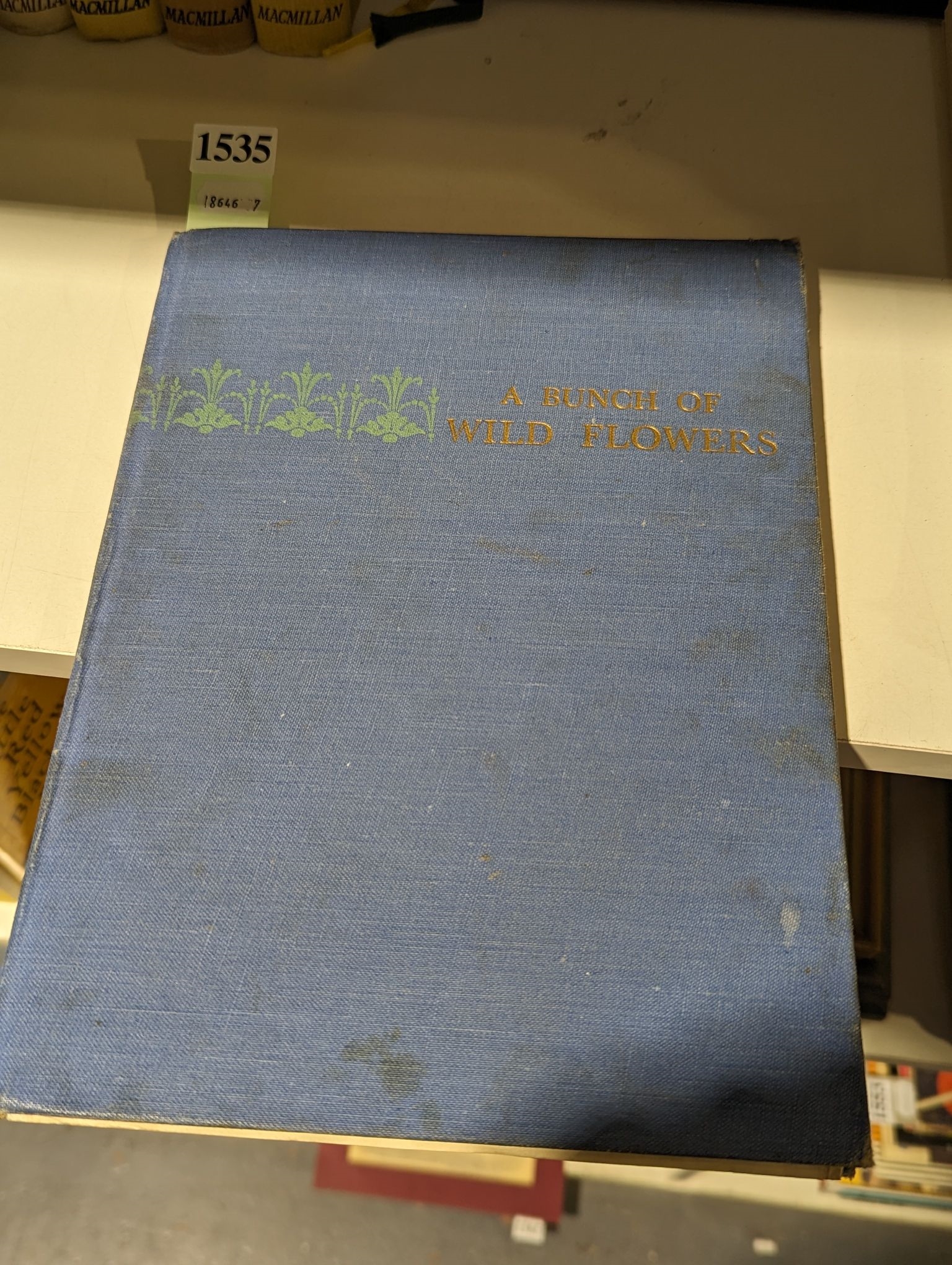 Ida Rentoul Outhwaite | IDA RENTOUL OUTHWAITE (1948) | MutualArt