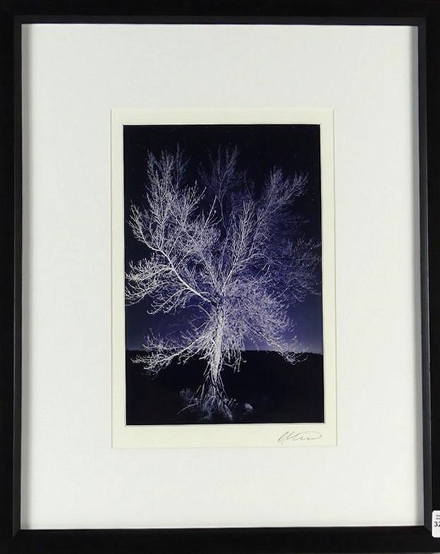 Casey Lessard | Signed photographic print in colours | MutualArt