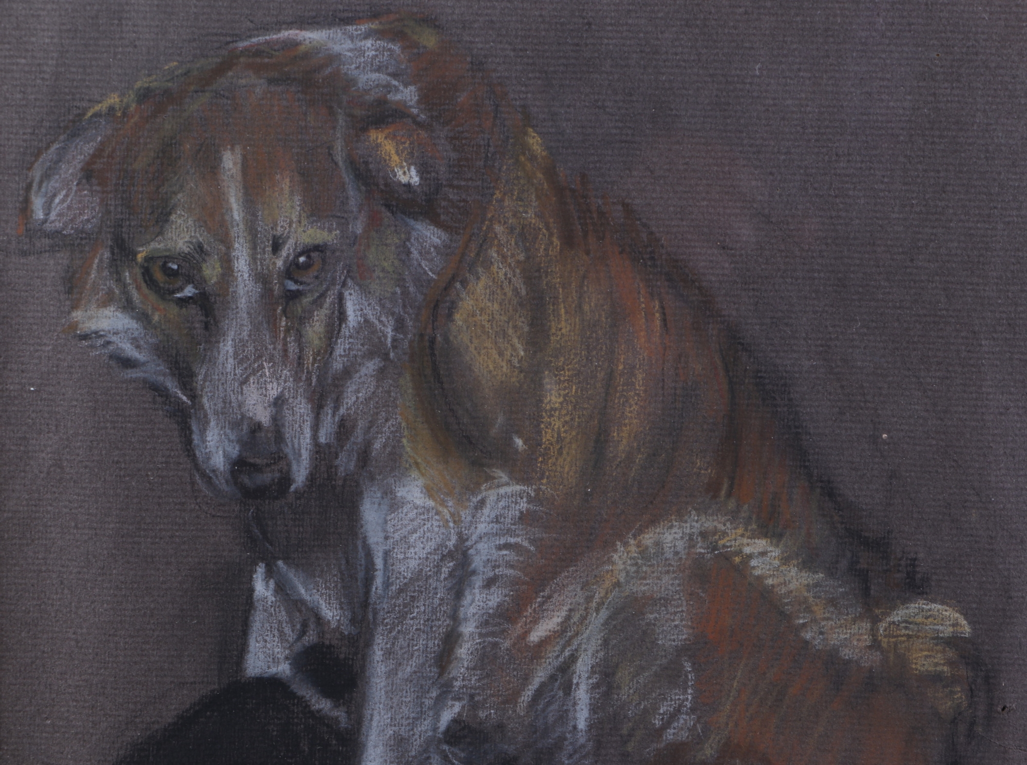 Anna Fraser | Anna Fraser (modern British) - Portrait of a Bitch and ...