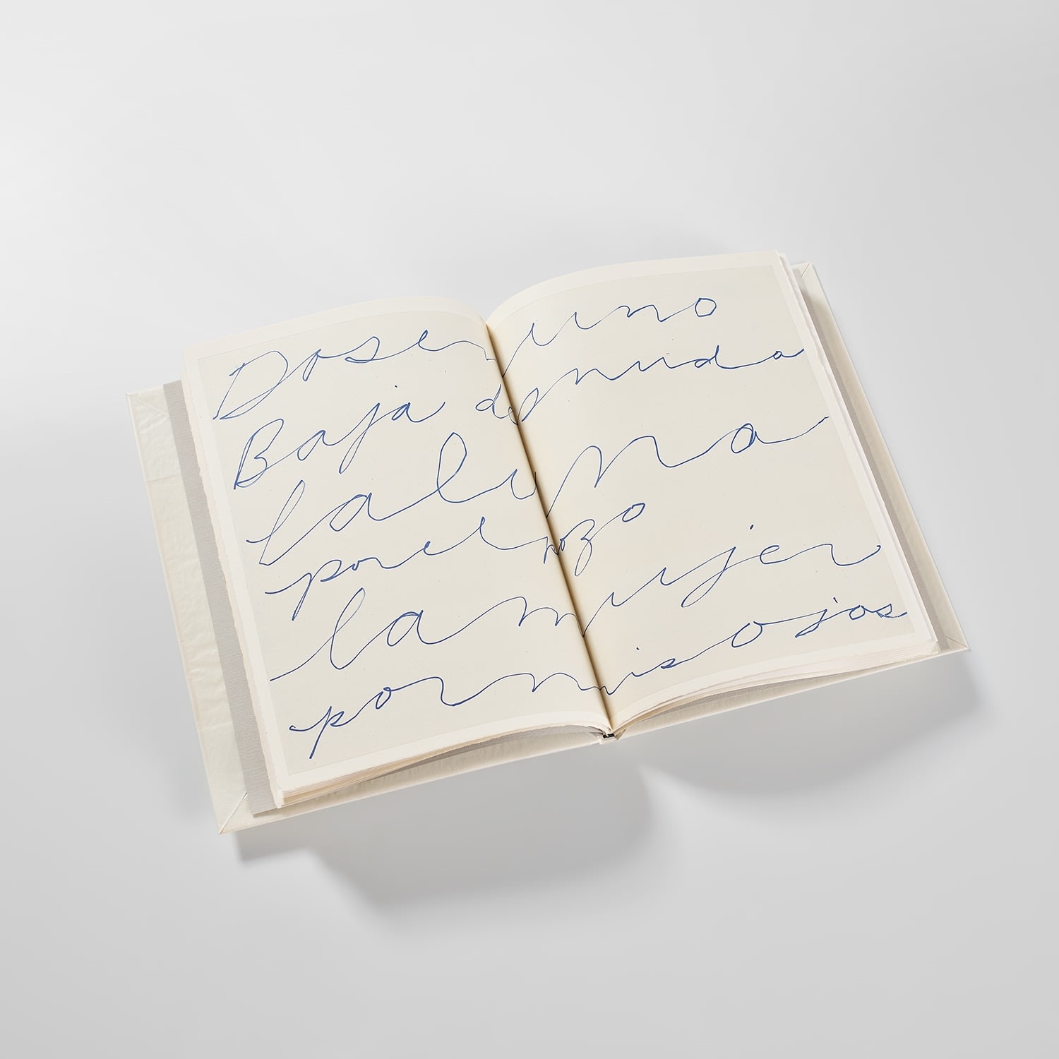Cy Twombly | Octavio Paz Eight Poems - Cy Twombly Ten Drawings (see B ...