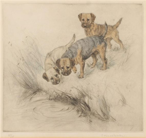 George Vernon Stokes | Border Terriers | MutualArt