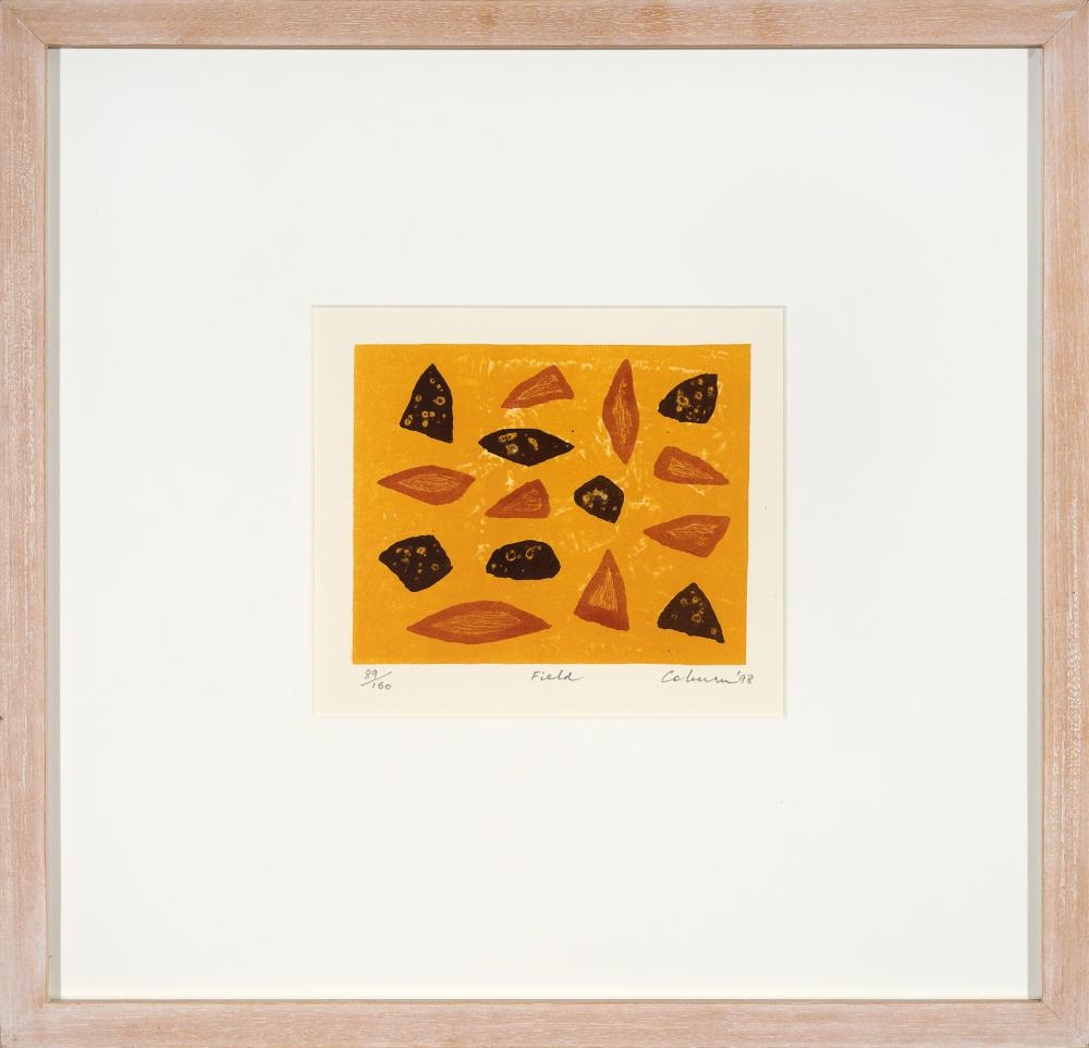 John Coburn | Field (1998) | MutualArt