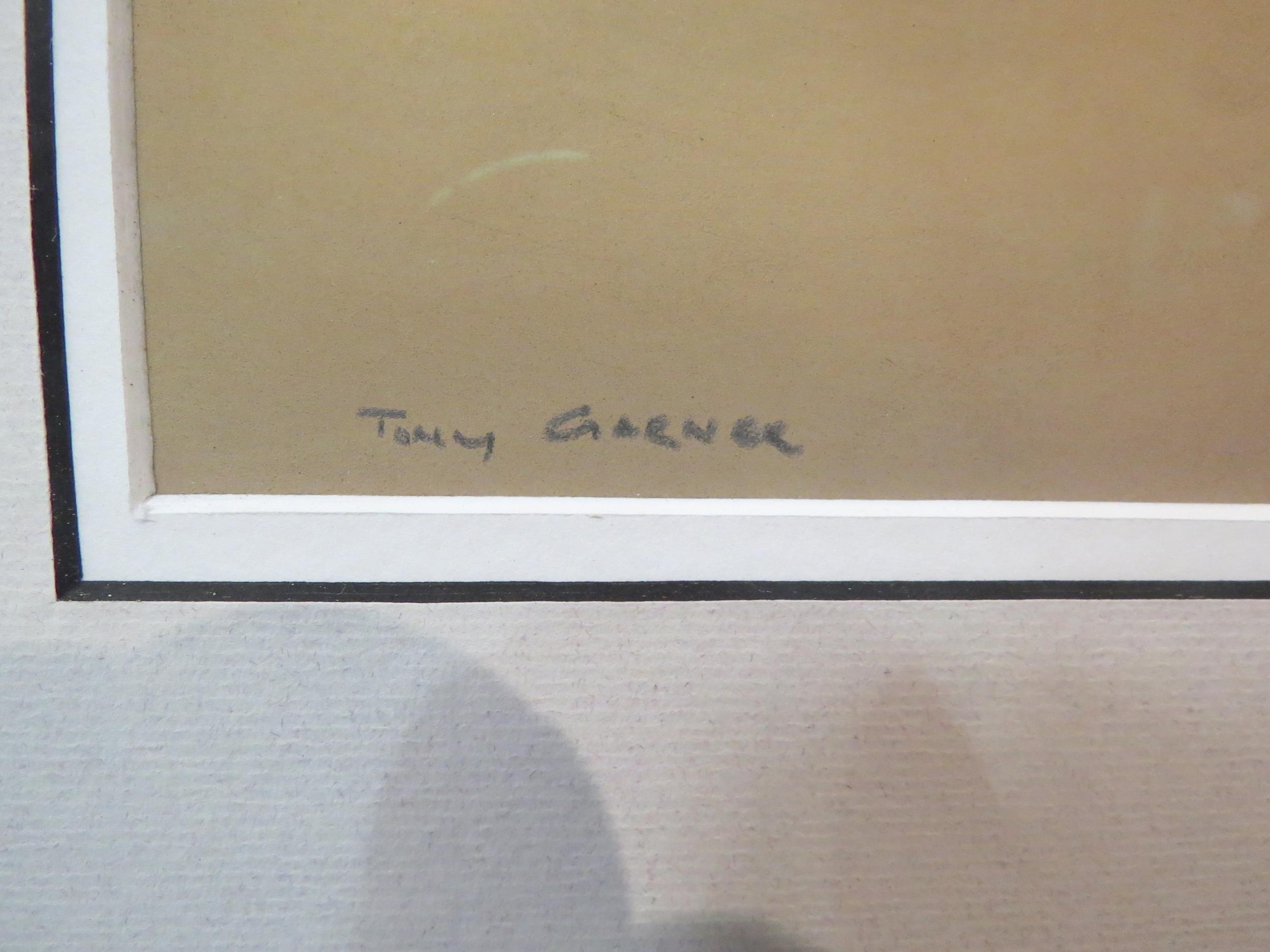 Tony Garner | : A pastel of sunset scene | MutualArt