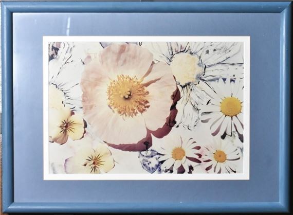 Lillian Hoban | 1 Artworks at Auction | MutualArt