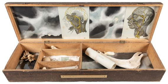 Geoff Hendricks | Lunar Anatomy (2004) | MutualArt