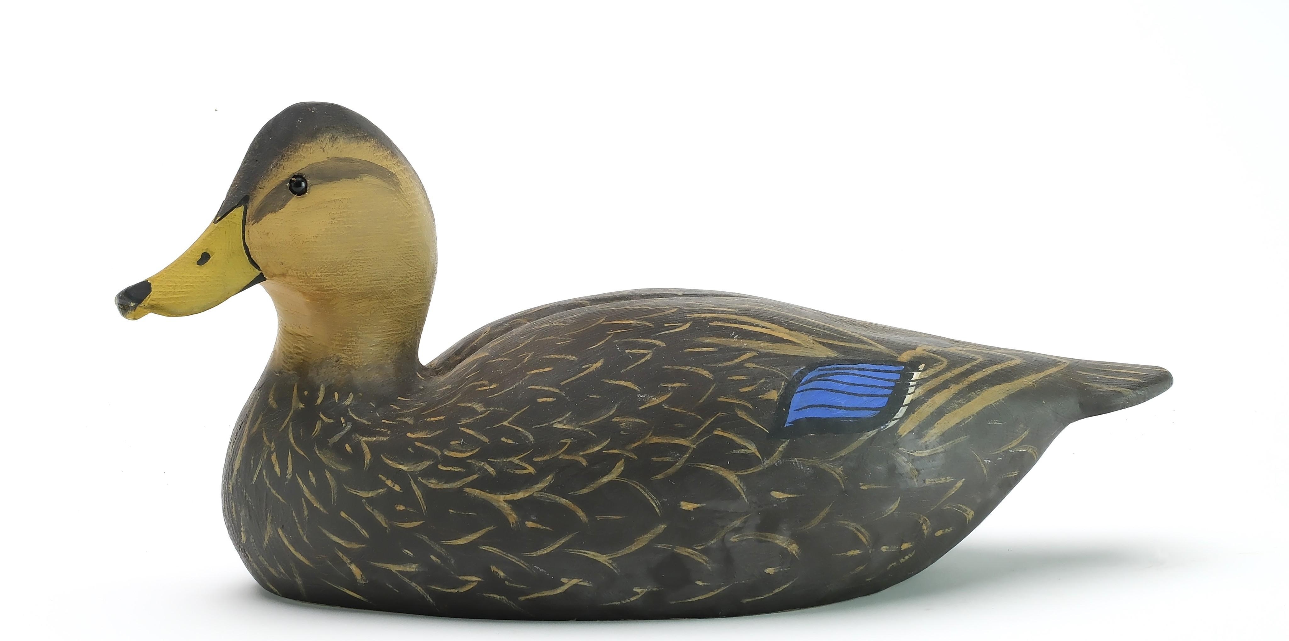 Lemuel T. Ward | Black duck | MutualArt