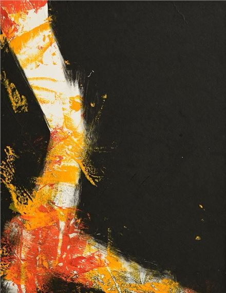 Paul Landers | Night Sky Wonder | MutualArt