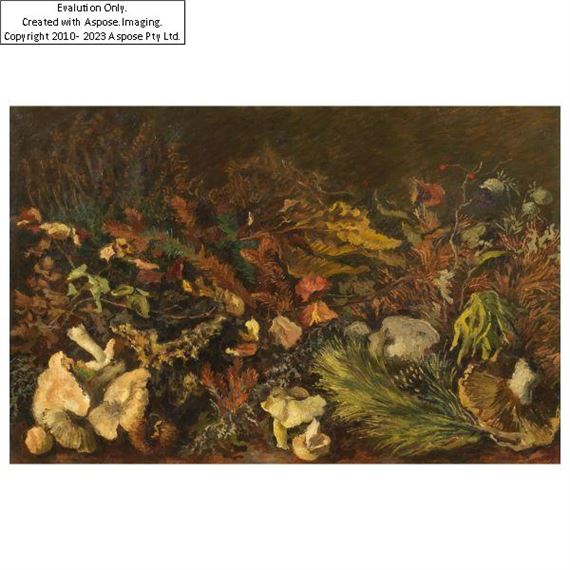 Onofrio Martinelli | NATURA MORTA CON FUNGHI (2024) | MutualArt