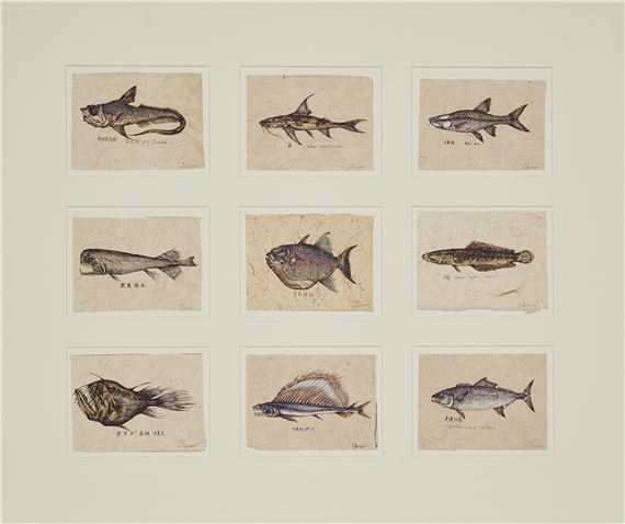 Li Jun | 9 Fish Studies (2011) | MutualArt