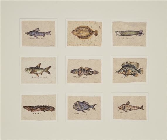 Li Jun | 9 Fish Studies (2011) | MutualArt