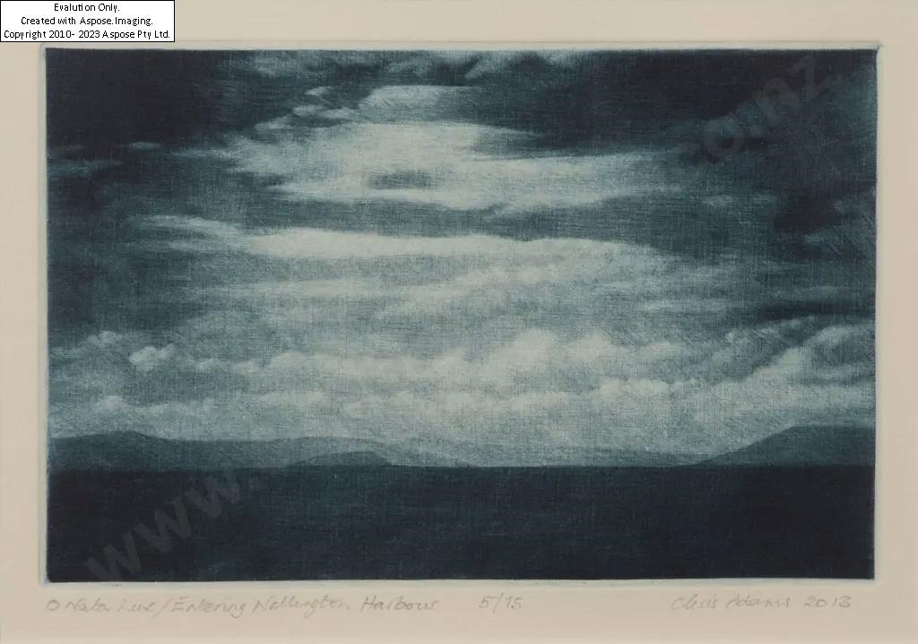 Chris Adams | Chris Adams - Entering Wellington Harbour (2013) | MutualArt