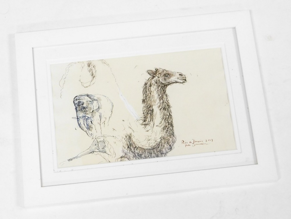 Peter Jamieson | Camel and elephant (1909) | MutualArt