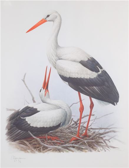 James Fenwick Lansdowne | Head of Goose (1958) | MutualArt